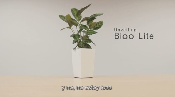 Bioo Lite เทคโนโลยีชาร์จแบตเตอรี่สมาร์ทโฟนจากต้นไม้