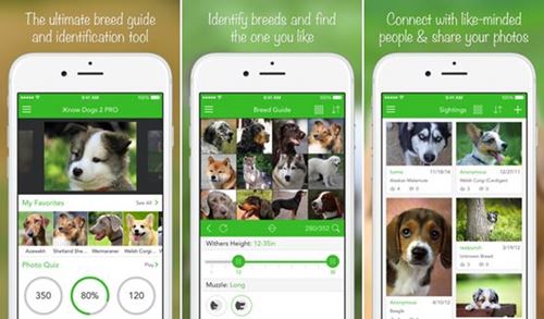 5 แอพฯ iOS สำหรับคนรักหมารักแมวโดยเฉพาะ